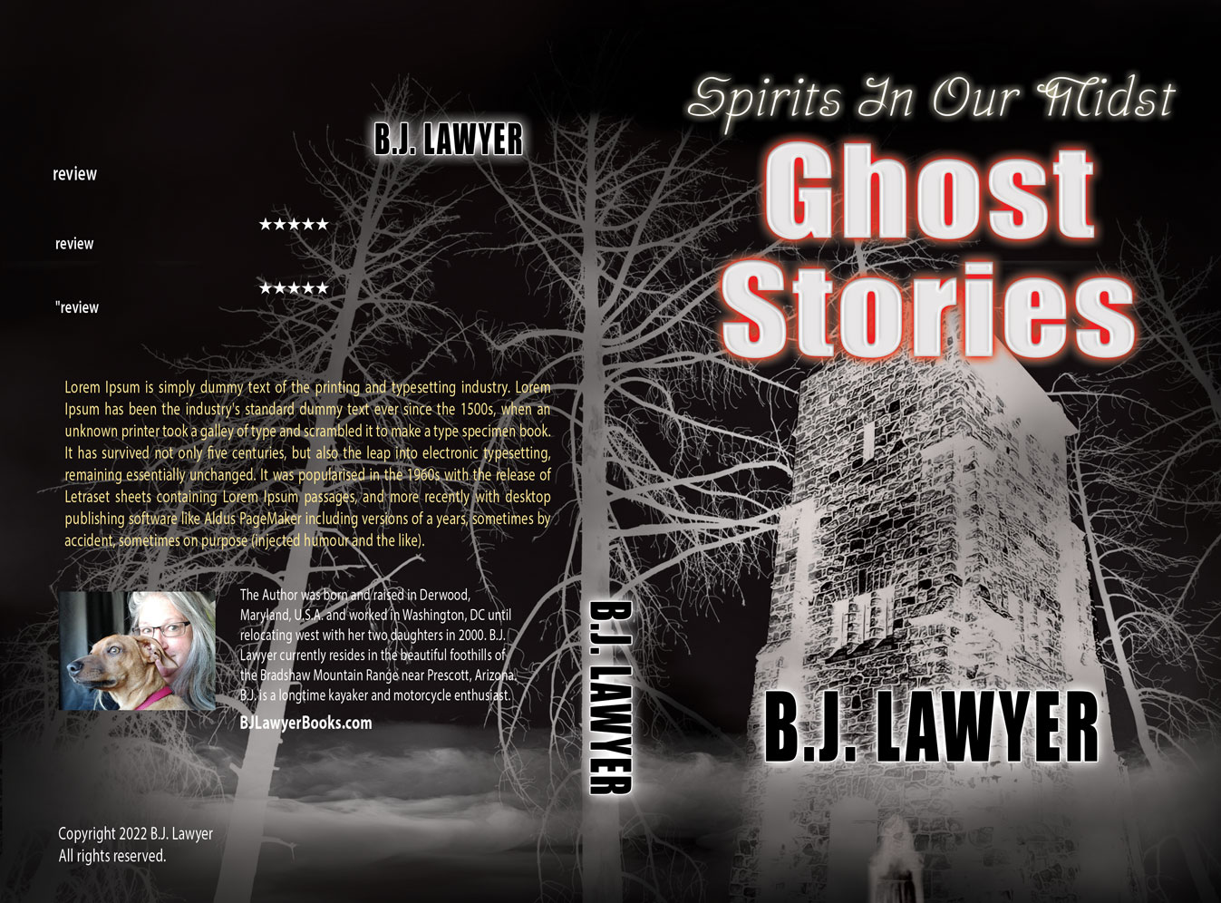 Ghost Story book cover | Unique Graphic Art by Brad Peterson