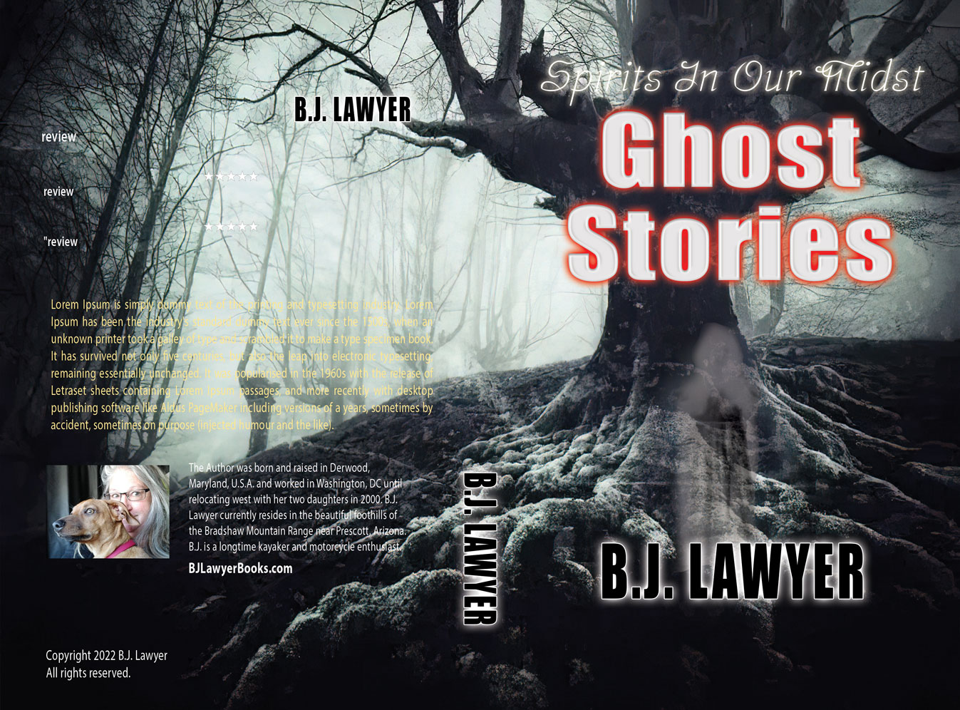 Ghost Story book cover | Unique Graphic Art by Brad Peterson